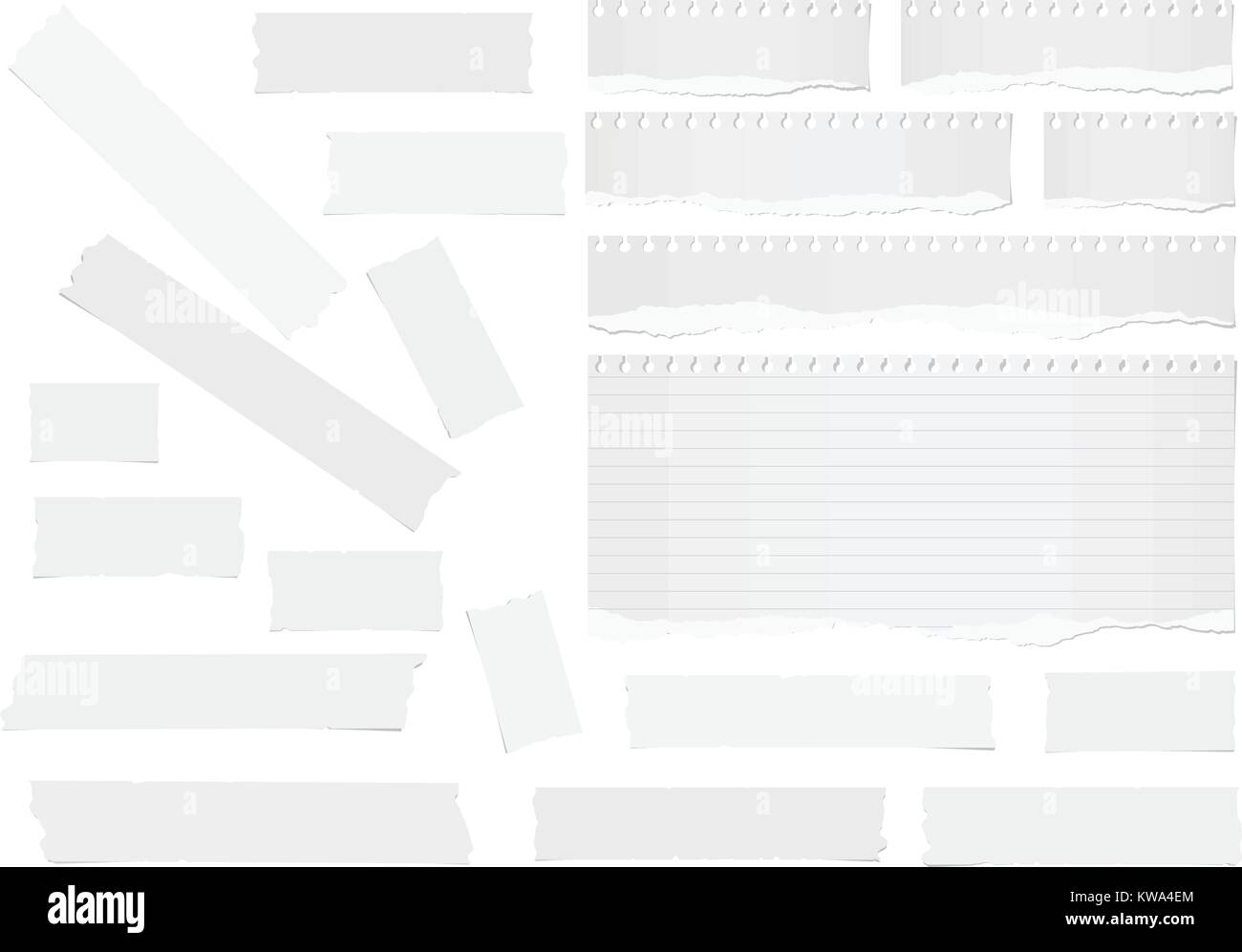 Ripped lined note, notebook paper strips, sheets, blank adhesive ...