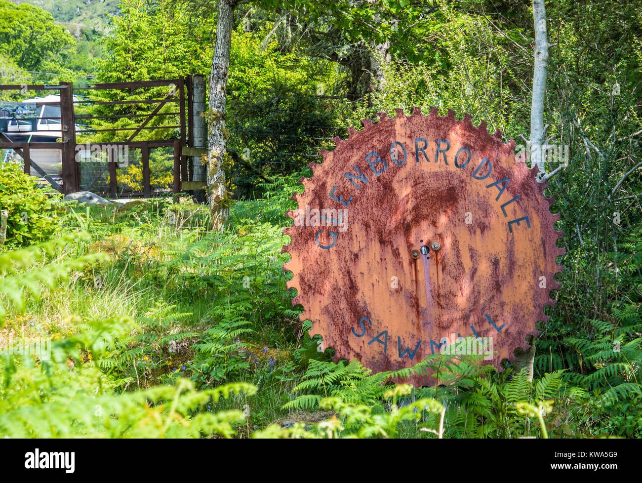 Scottish sawmill hi-res stock photography and images - Alamy
