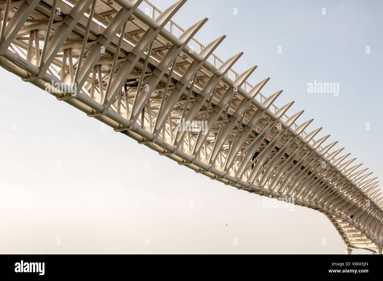 cantilevered pipes with modern design and shape of fishbone in Venice ...