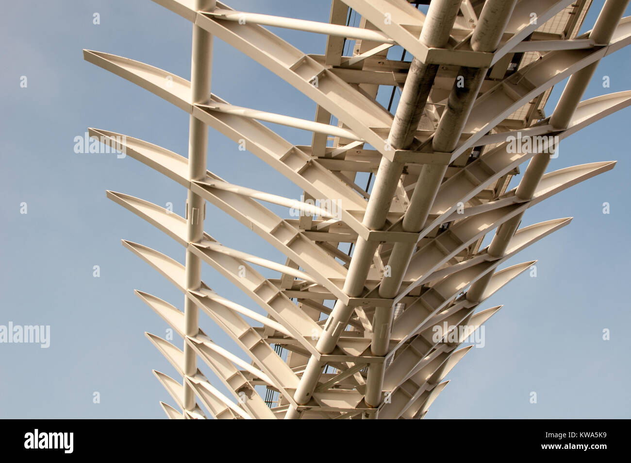 cantilevered pipes with modern design and shape of fishbone in Venice ...