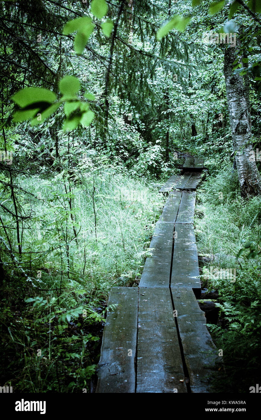 Dark mysterious pathway hi-res stock photography and images - Alamy