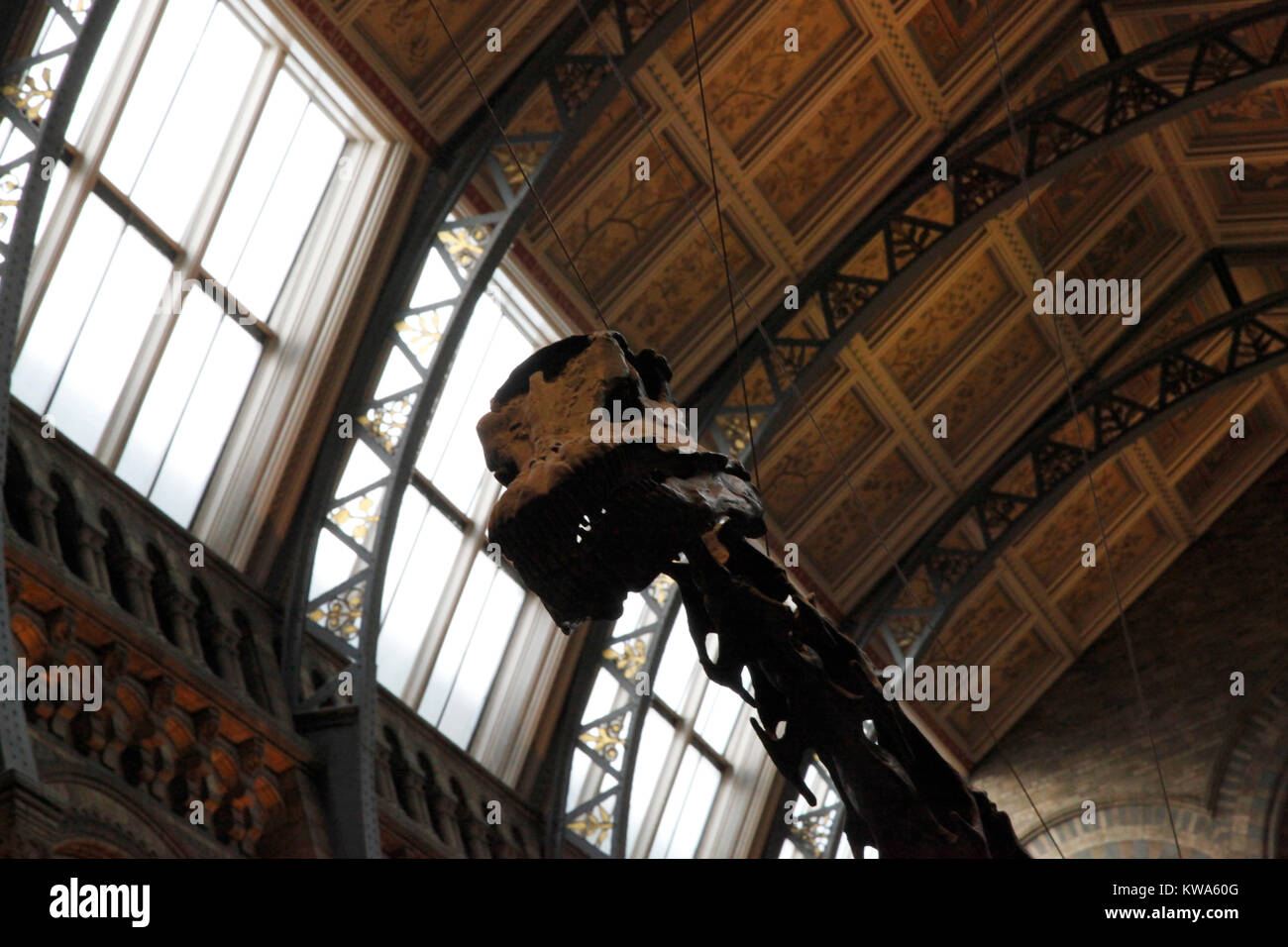 Natural History Museum - NHM - London Stock Photo - Alamy