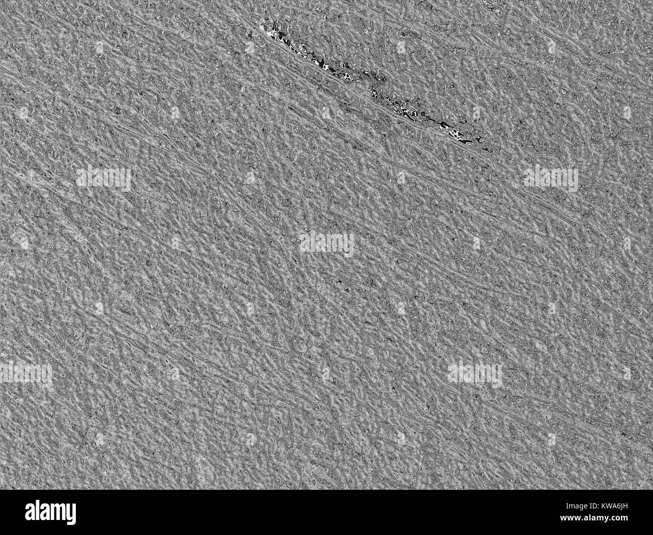 Vintage effect filter Black and White Stock Photos & Images - Alamy