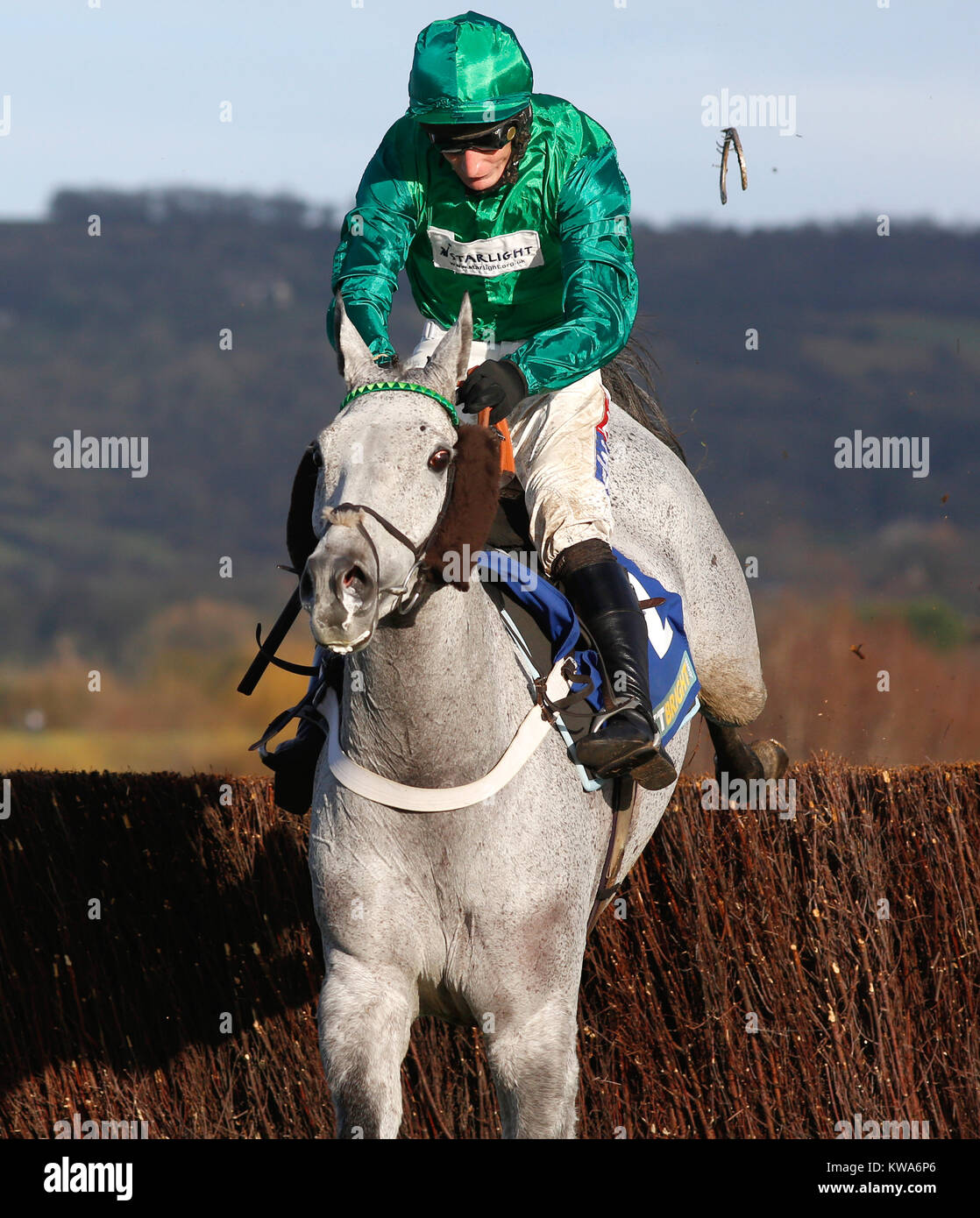 Vyta Du Roc loses a shoe with Daryl Jacob before going on to win The ...