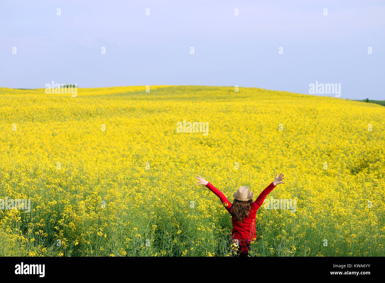 little girl with hands up on field spring season Stock Photo - Alamy