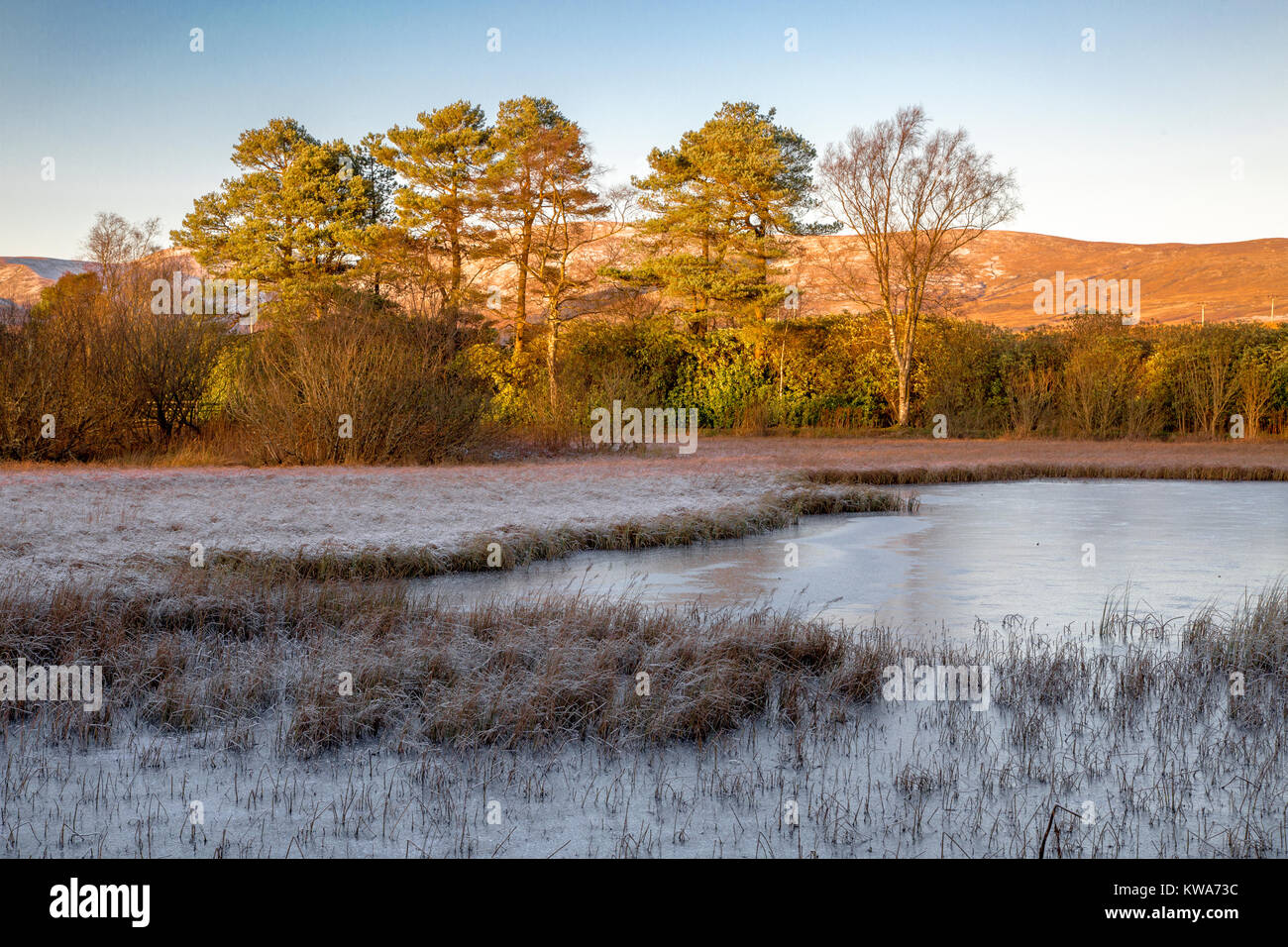 Beautiful frozen pond hi-res stock photography and images - Alamy