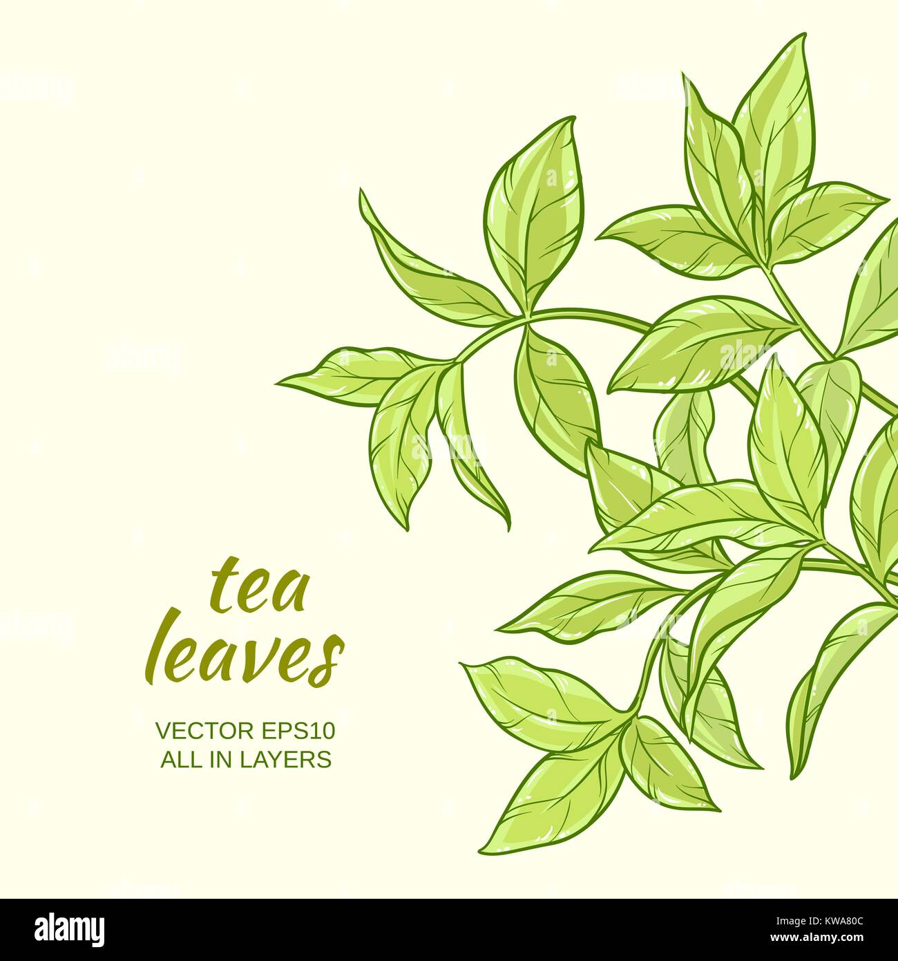 tea leaves background Stock Vector Image & Art - Alamy