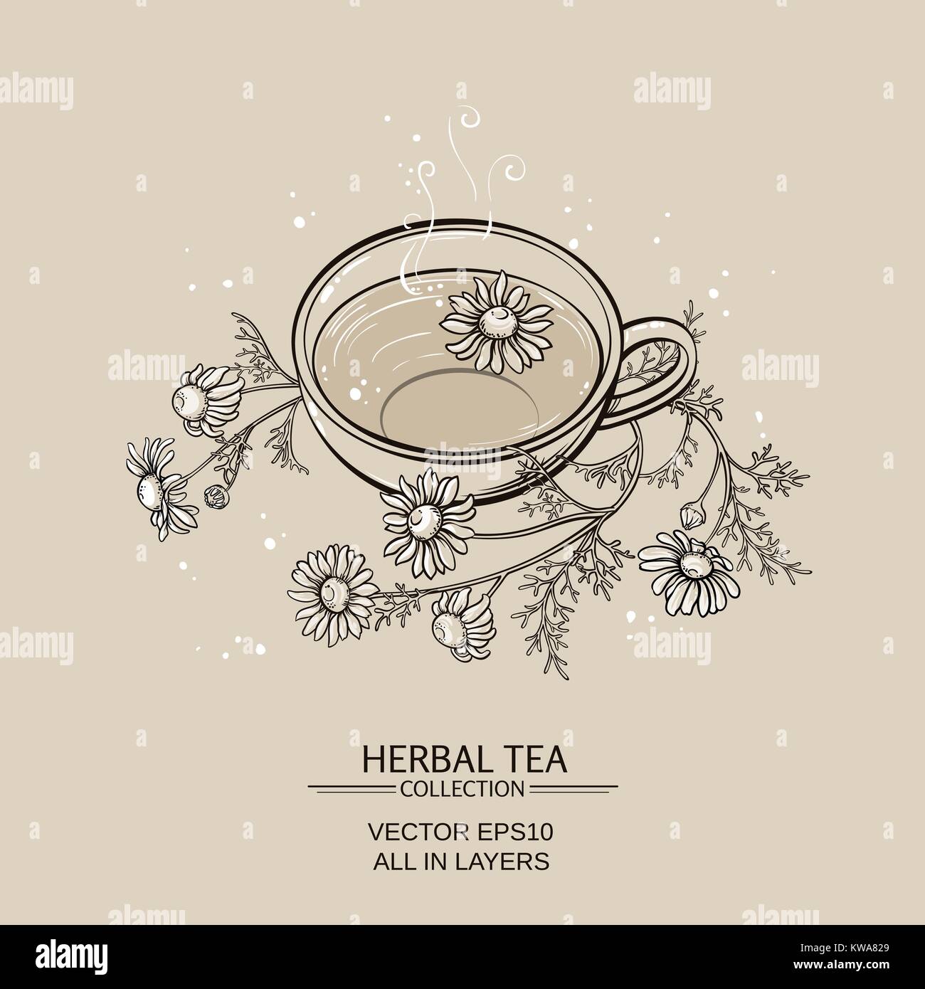 Cup saucer chamomile tea Stock Vector Images - Alamy