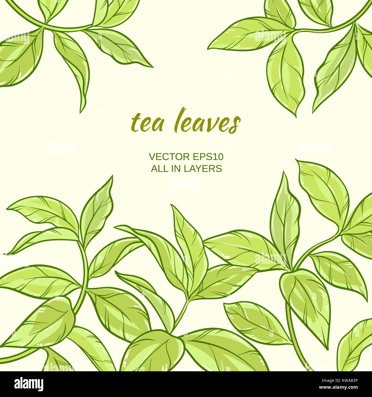 Branch green leaves nature Stock Vector Images - Alamy