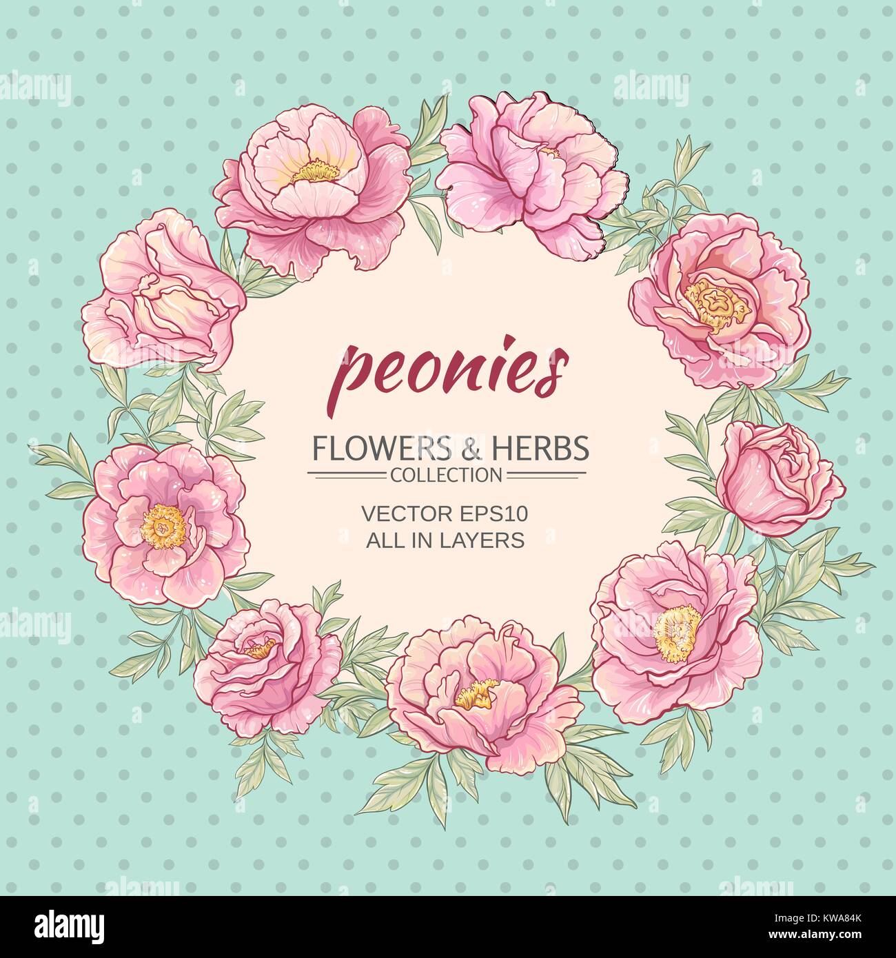 Wedding invitation design peonies Stock Vector Images - Alamy