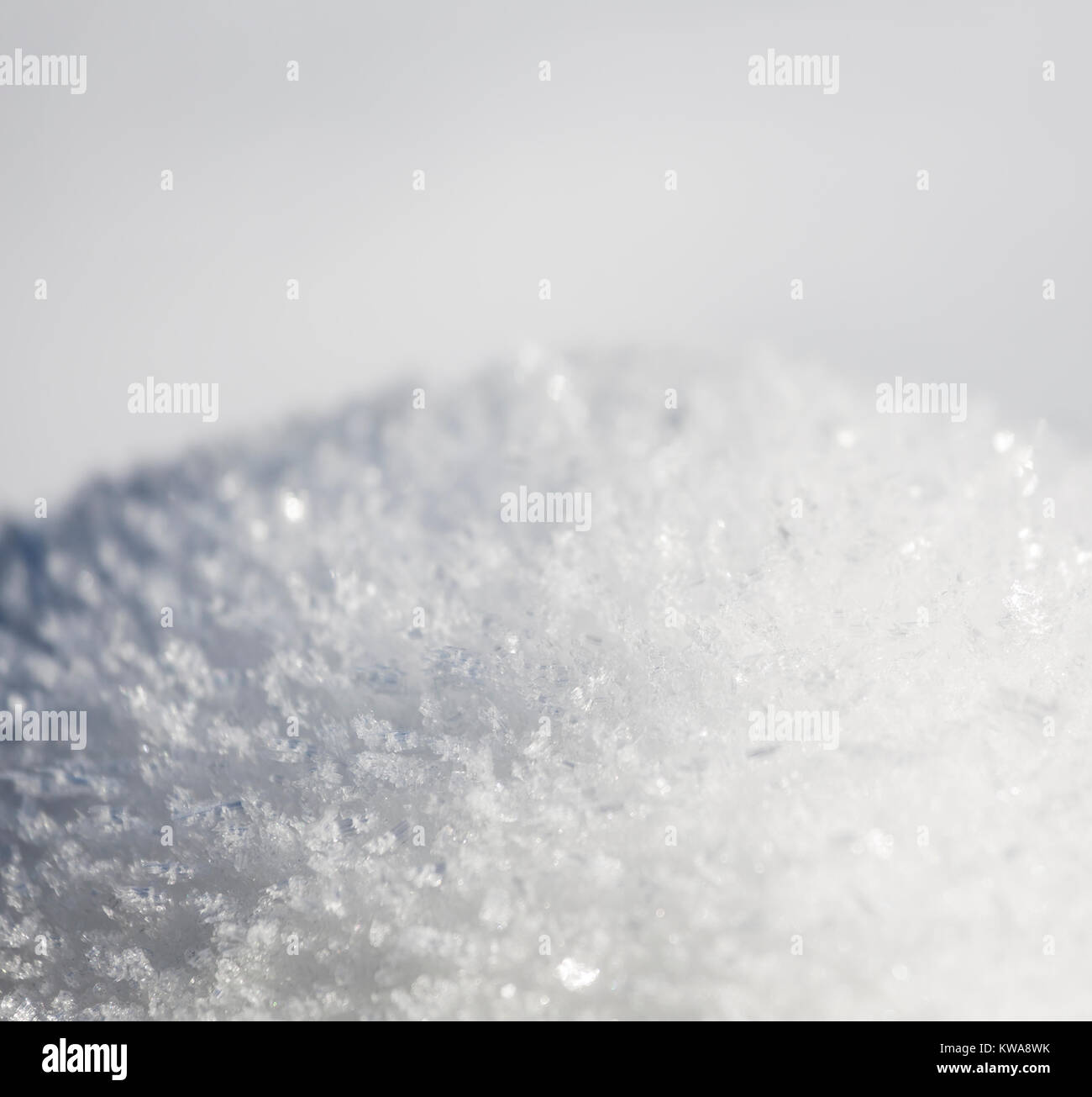 Shiny ice structures on snow after a freezing night in the Eifel ...