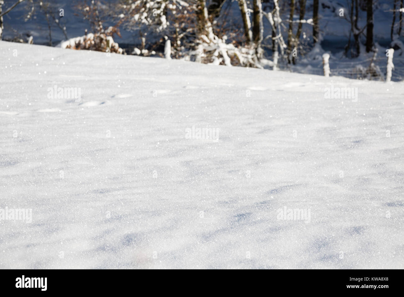 Glittering ice crystals on snow after a freezing night in the Eifel ...