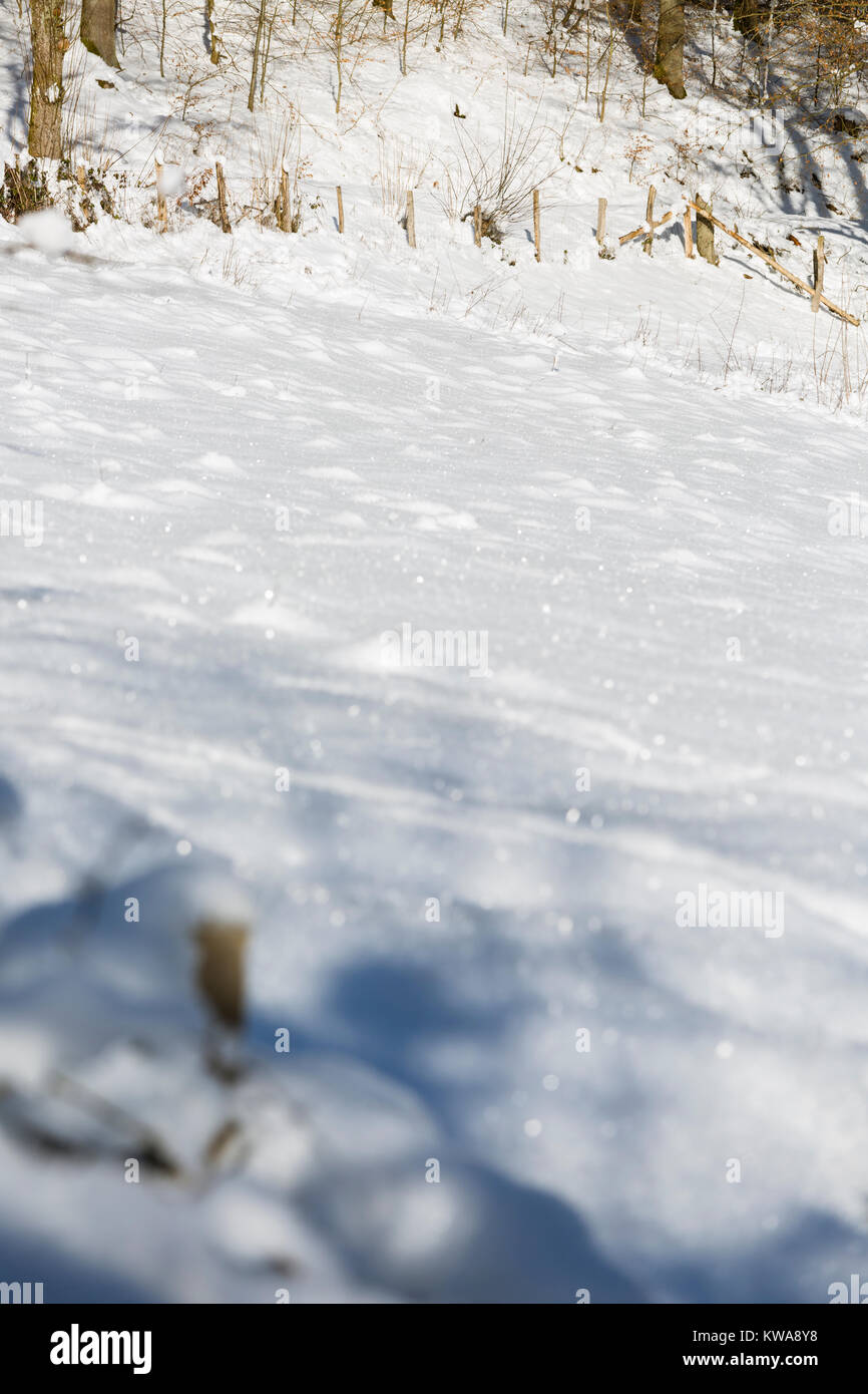 Glittering ice crystals on snow after a freezing night in the Eifel ...