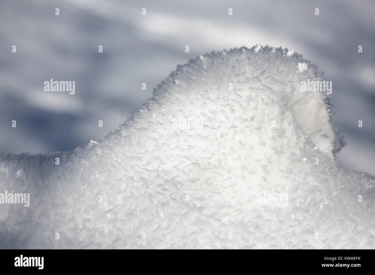 Complex glittering ice flowers on a pile of snow after a freezing night ...