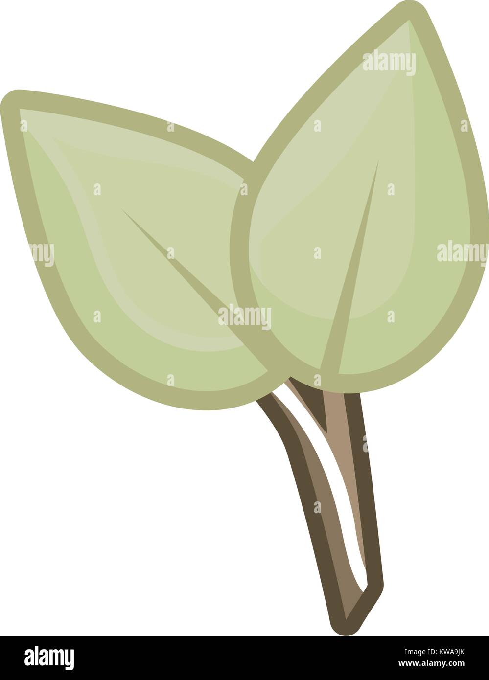 Tea leaf plant Stock Vector Image & Art - Alamy