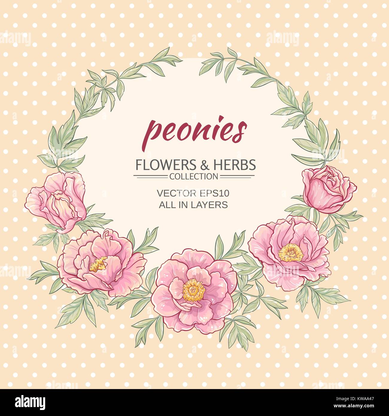 Wedding invitation design peonies Stock Vector Images - Alamy