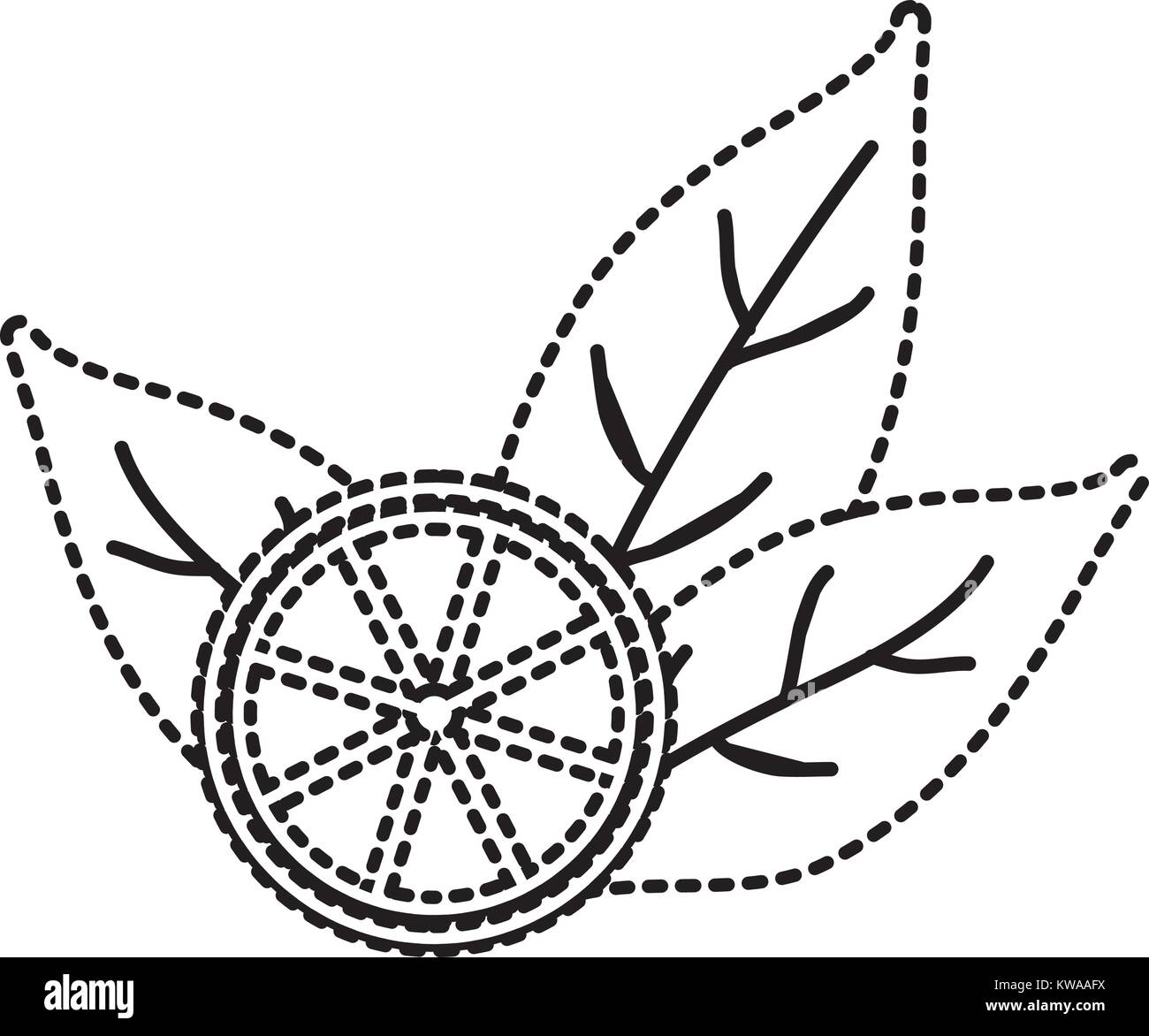 Organic green tea lemon Black and White Stock Photos & Images - Alamy