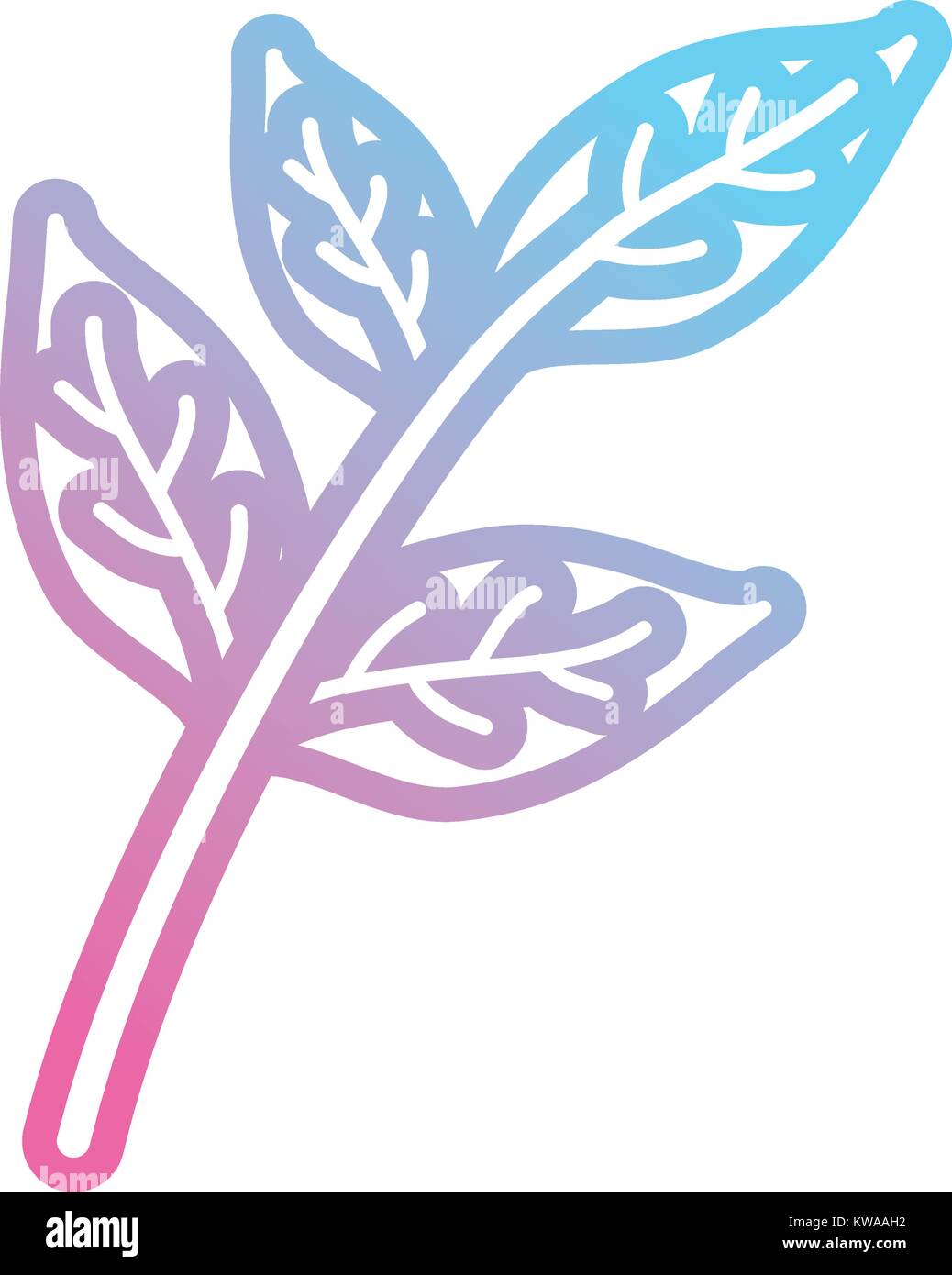 Tea leaf plant Stock Vector Image & Art - Alamy