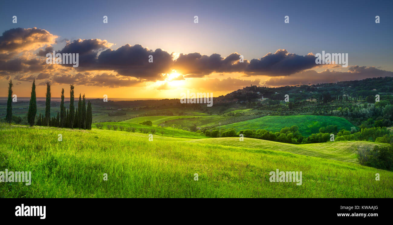 Casale Marittimo village, vineyards and countryside landscape in ...