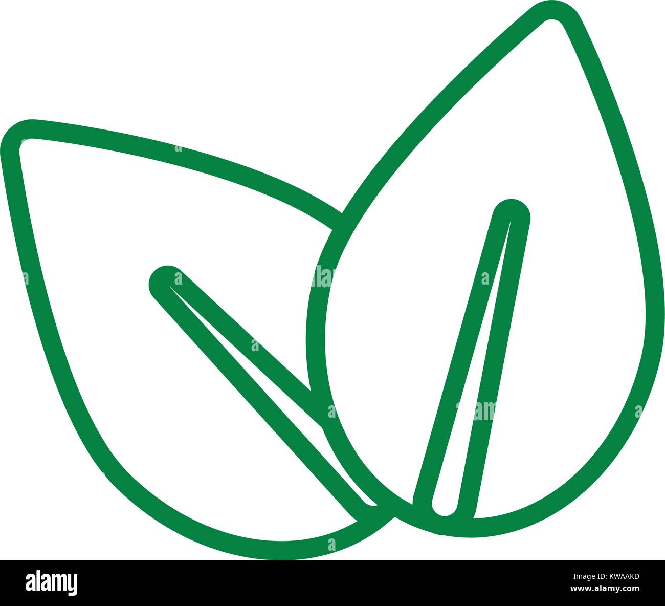 Tea leaf plant Stock Vector Image & Art - Alamy