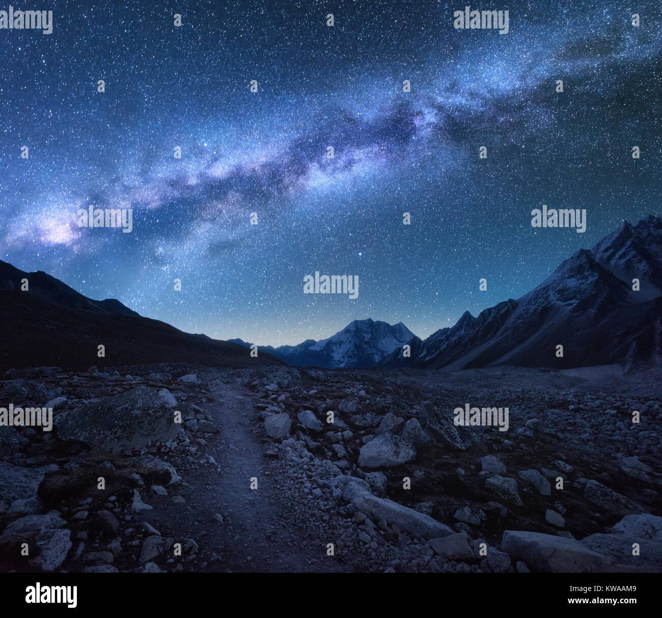 Starry night view hi-res stock photography and images - Alamy