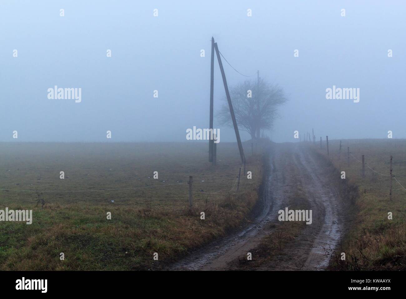 Deserted country road in fog. Foggy weather. Scary Way Stock Photo - Alamy