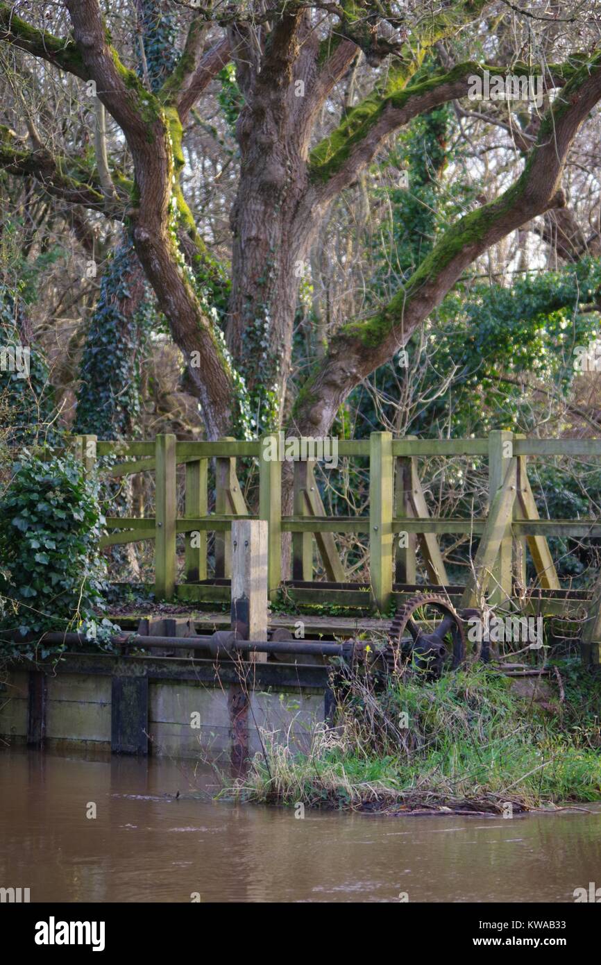 Abandoned Victorian Engineering of the Overgrown Countess Weir, River ...