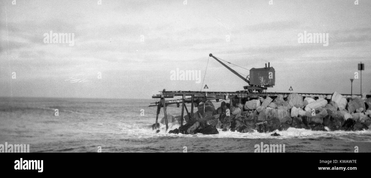Steam-powered digger working on the tiphead at the mouth of the Grey ...