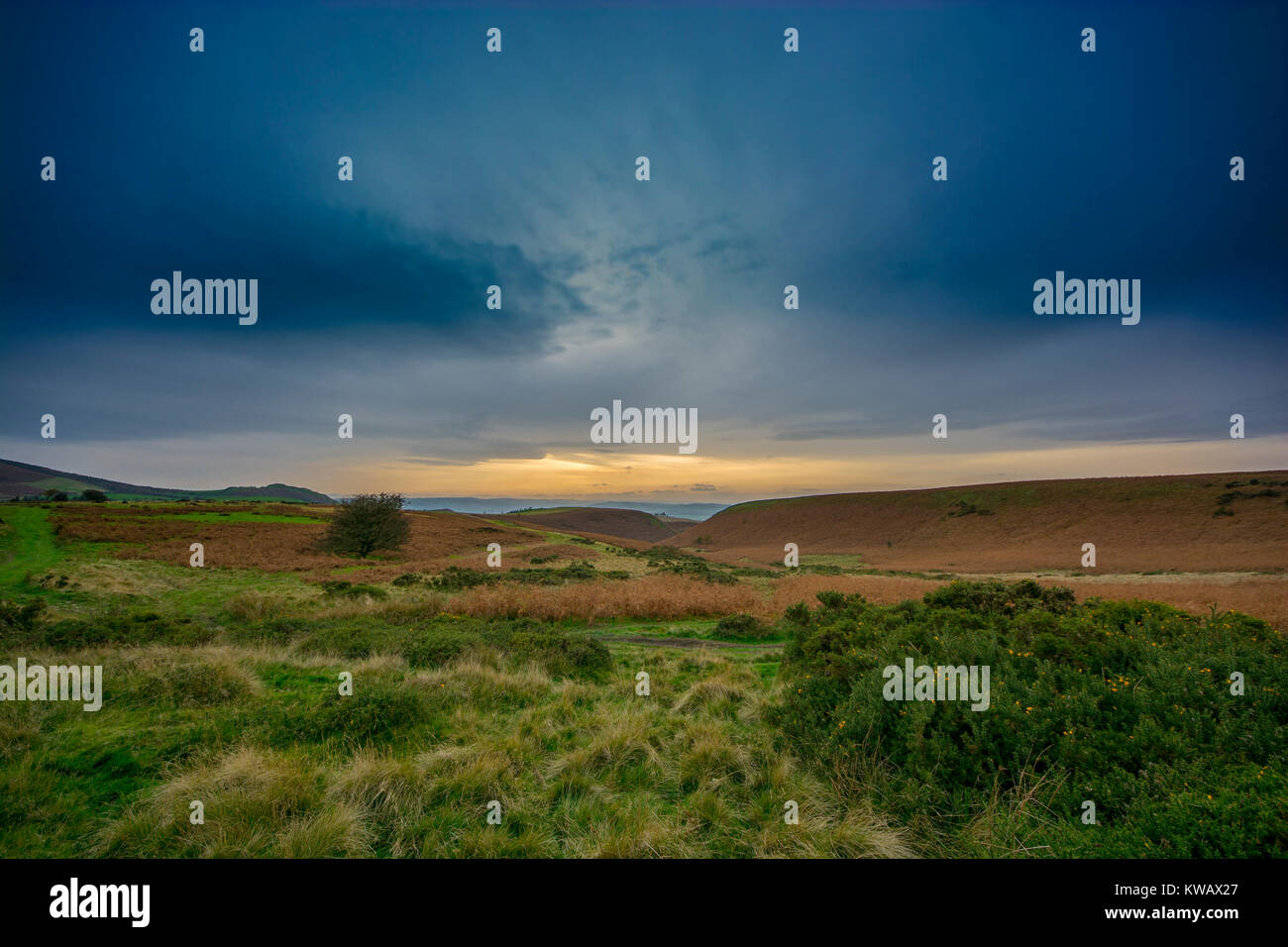 Stapeley Hill, farmland Stock Photo - Alamy