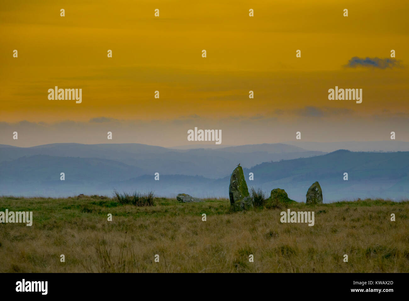 Mitchell's Fold Stone Circle, Stapeley Hill, Ancient Monument Stock ...