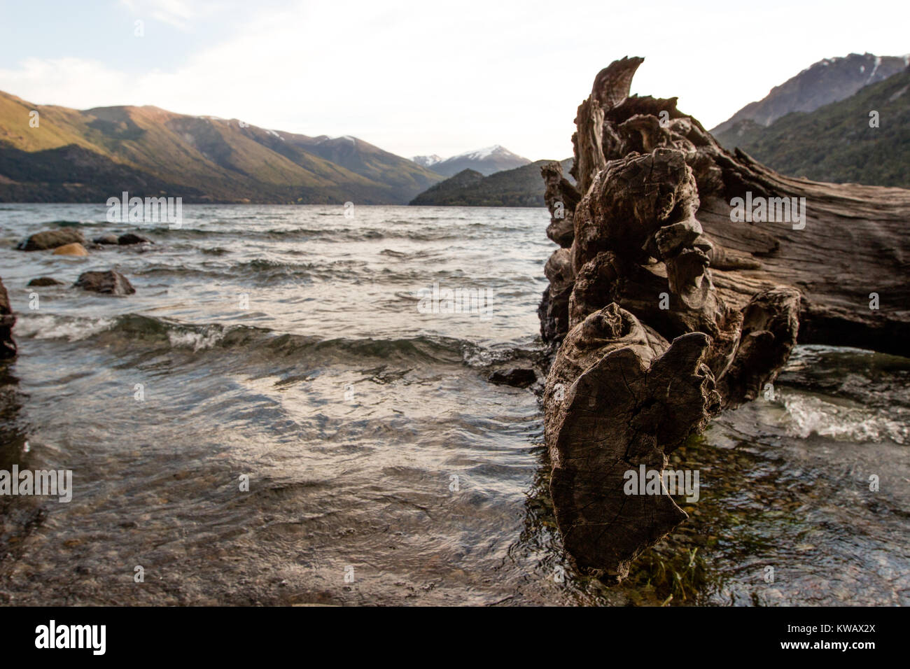 A tree log with roots by the beach of a lake with lovely views of ...