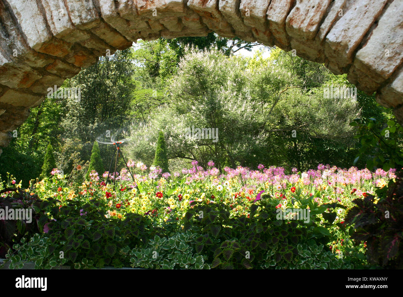 Flowers in the garden of the Balchik Castle in Bulgaria Stock Photo - Alamy