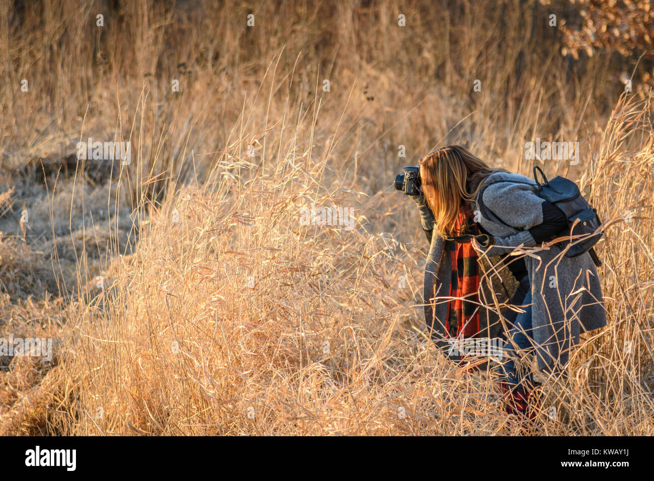 Photographer close up outdoors nature hi-res stock photography and ...