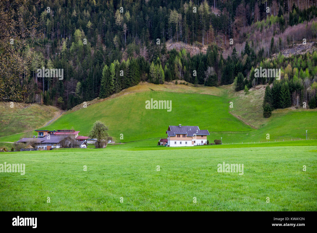 The beautiful alps of Austria Stock Photo - Alamy
