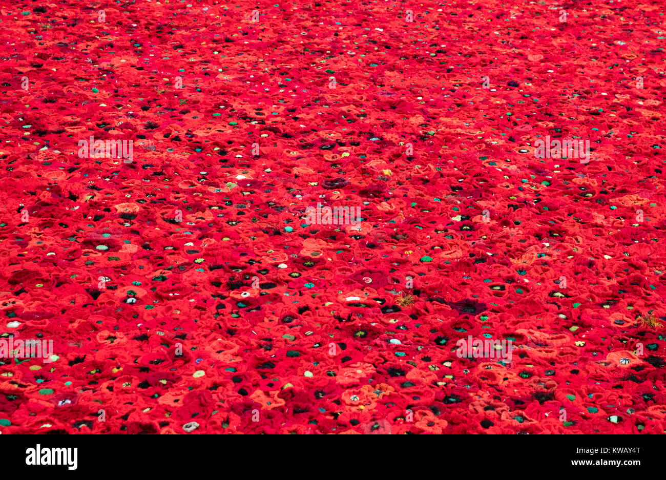 Phillip Johnson’s 5000 poppies installation at the 2016 Royal Chelsea ...