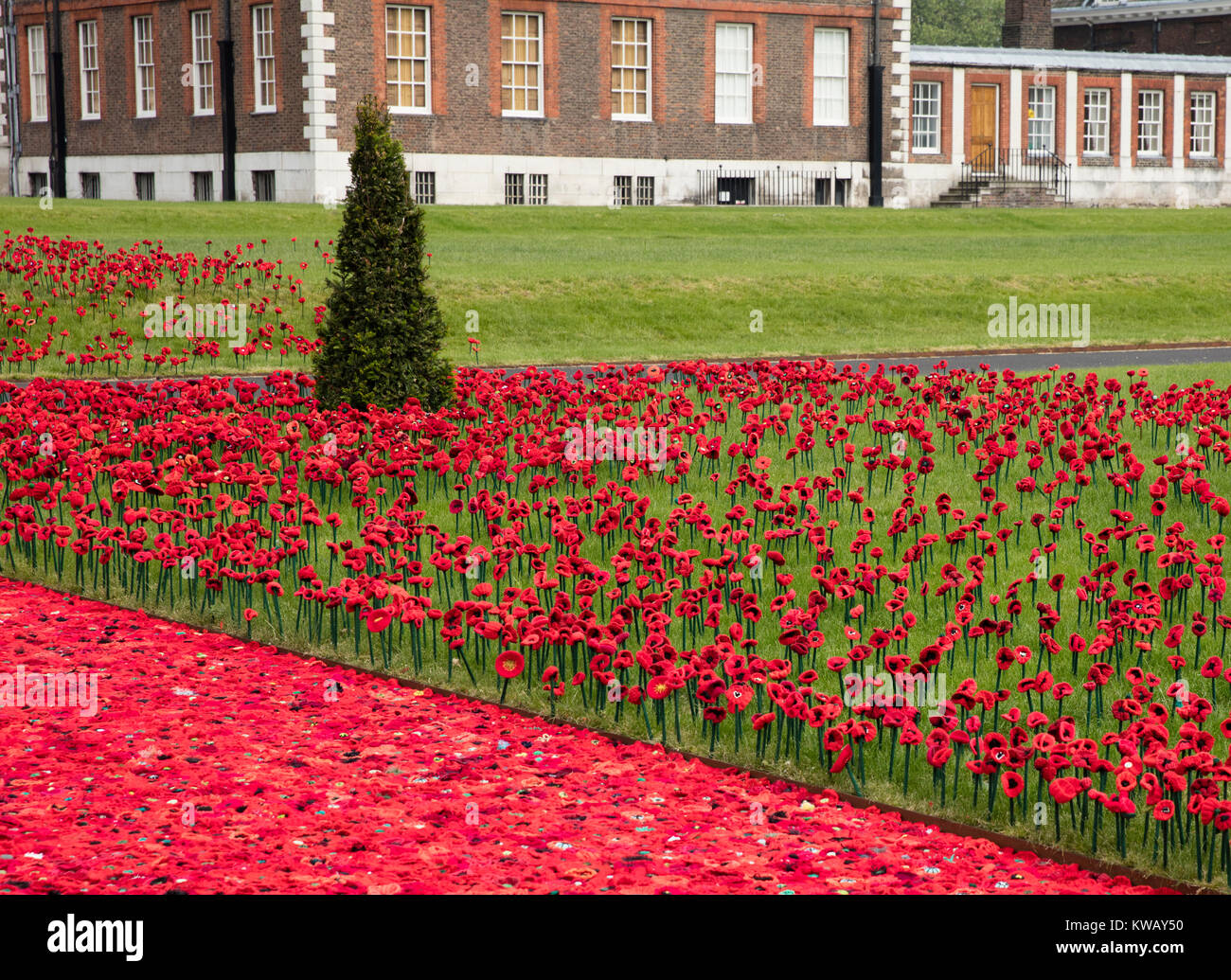Phillip Johnson’s 5000 poppies installation at the 2016 Royal Chelsea ...