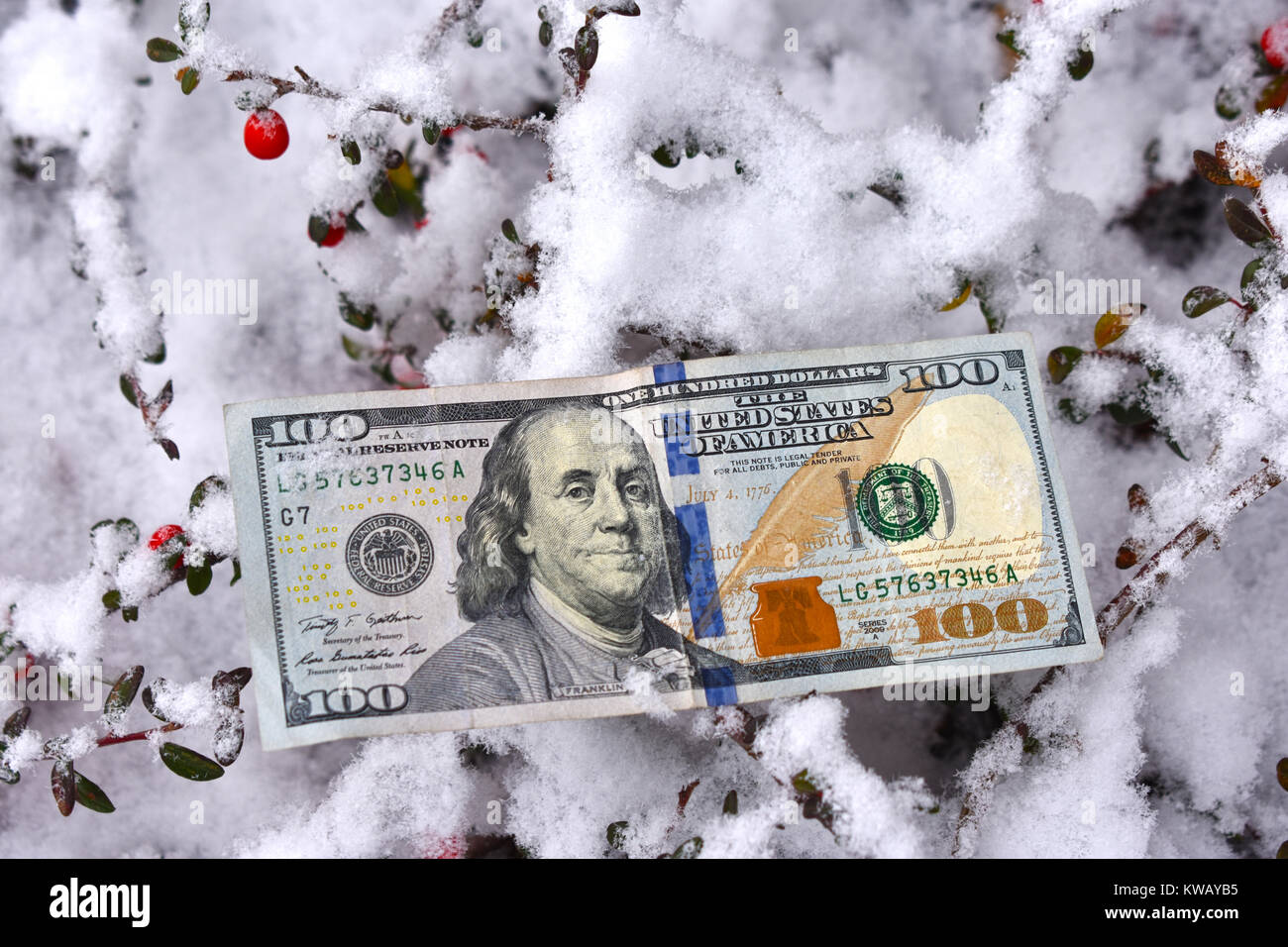 U.S. One Hundred dollar bill on the ground in the snow - concept of ...