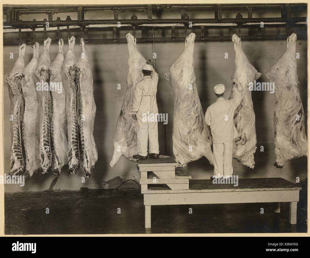 Meat packing 1900s hi-res stock photography and images - Alamy
