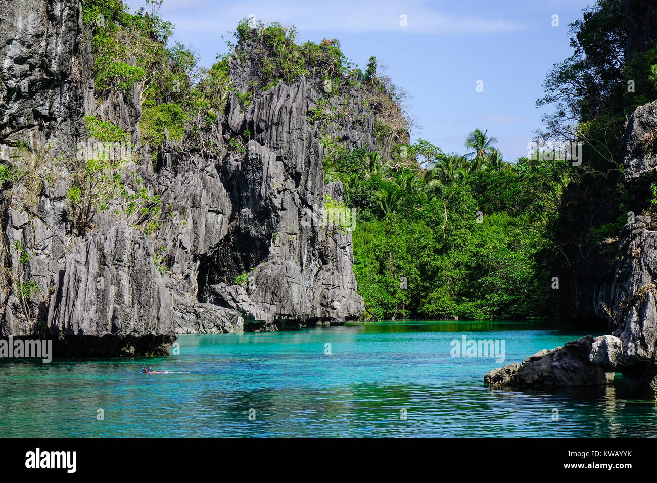 Landscape of tropical sea and blue lagoon in Palawan, Philippines ...