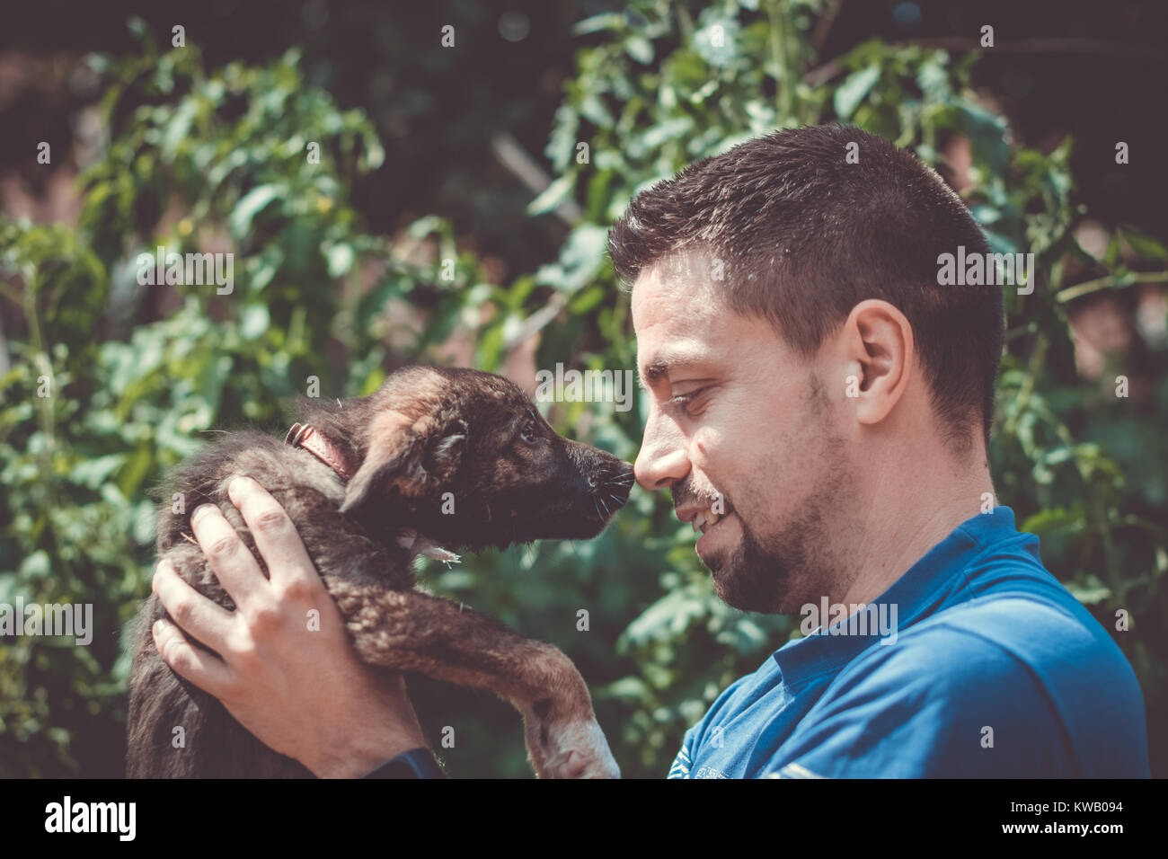 Dog man best friend hi-res stock photography and images - Alamy