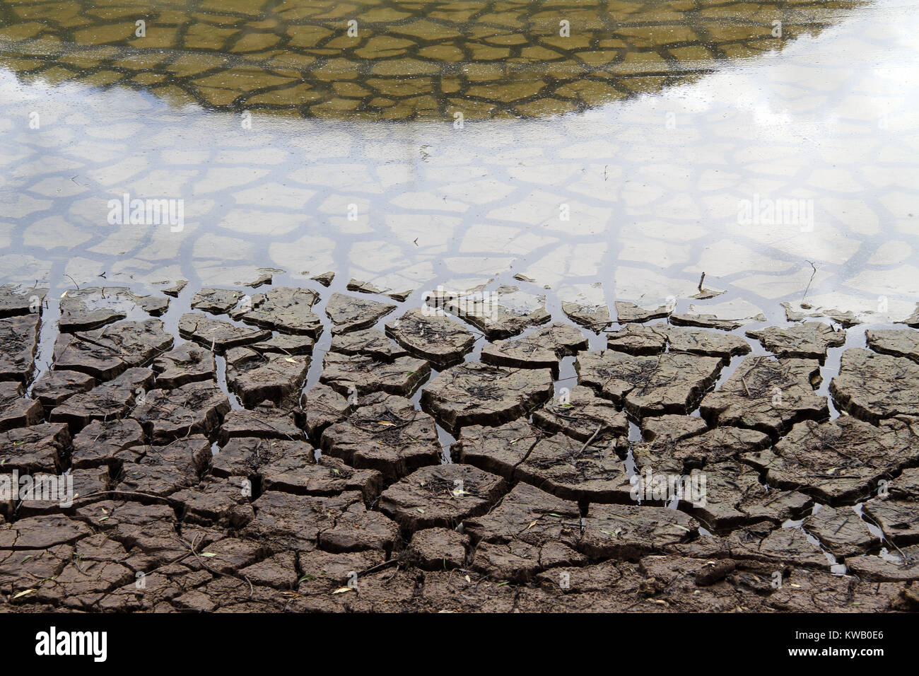 Water after drought on the cracked ground Stock Photo - Alamy