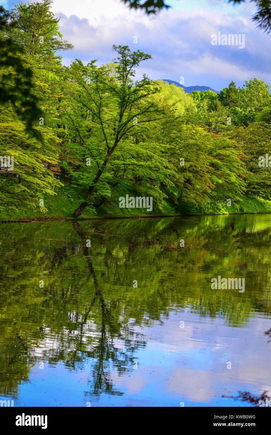 Green trees with a pond at city park of Hirosaki, Japan Stock Photo - Alamy
