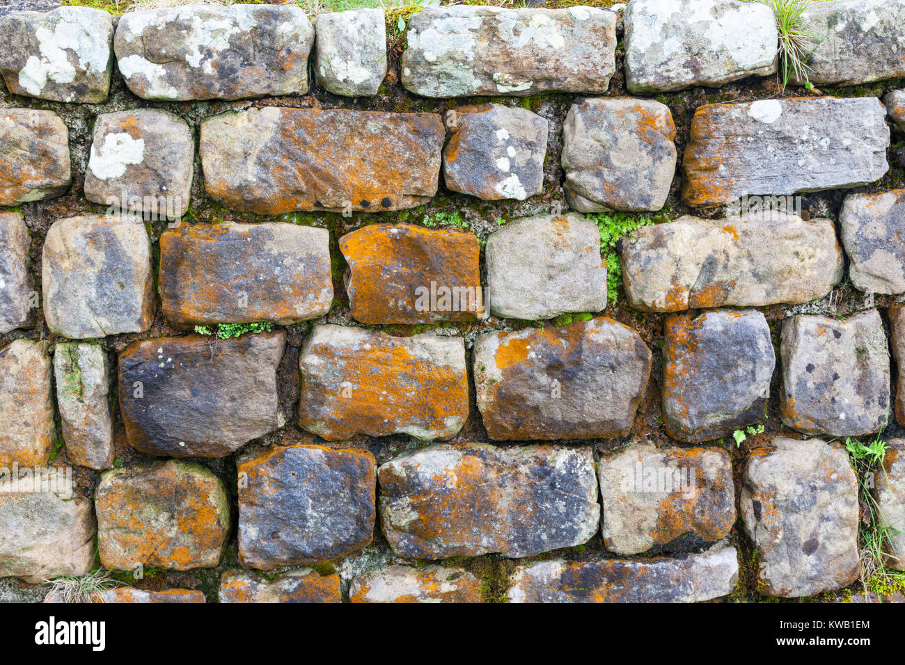 Masonry detail of a colourful section of Hadrian's Wall in ...