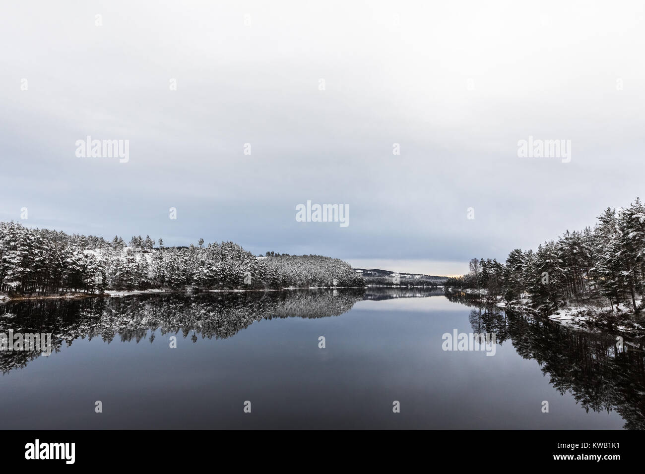 Winter landscape, open water in the Otra river, South part of Norway ...