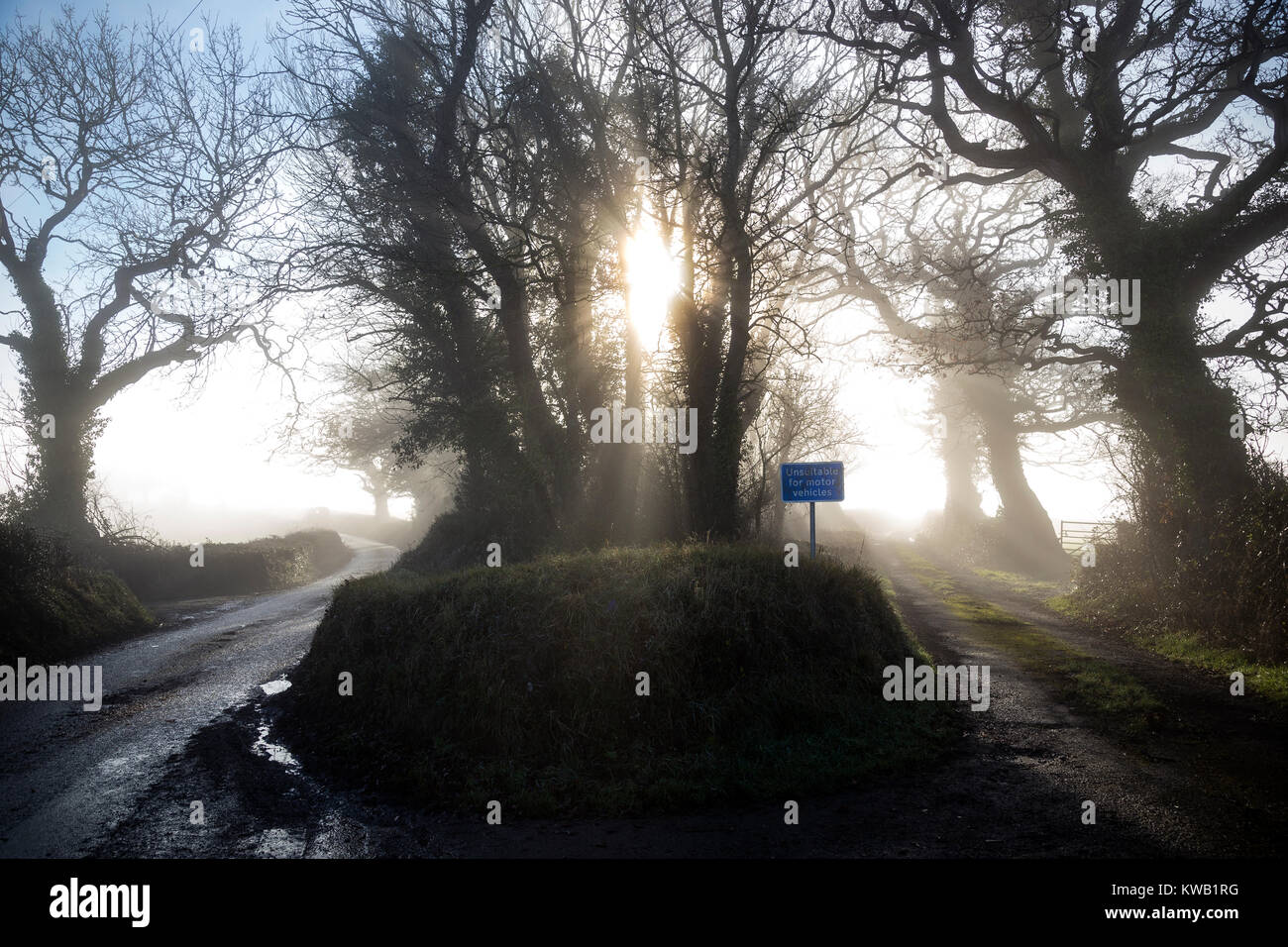 Footpath Lane Passage Pathway High Resolution Stock Photography and ...