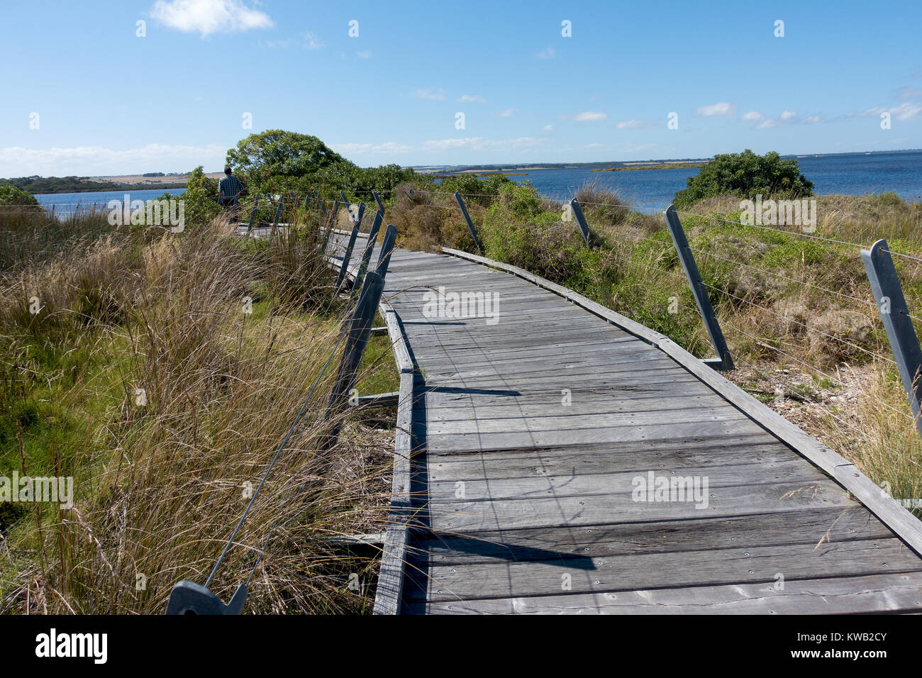 Access track to the lookout area, Swan Bay, Victoria, Australia Stock ...