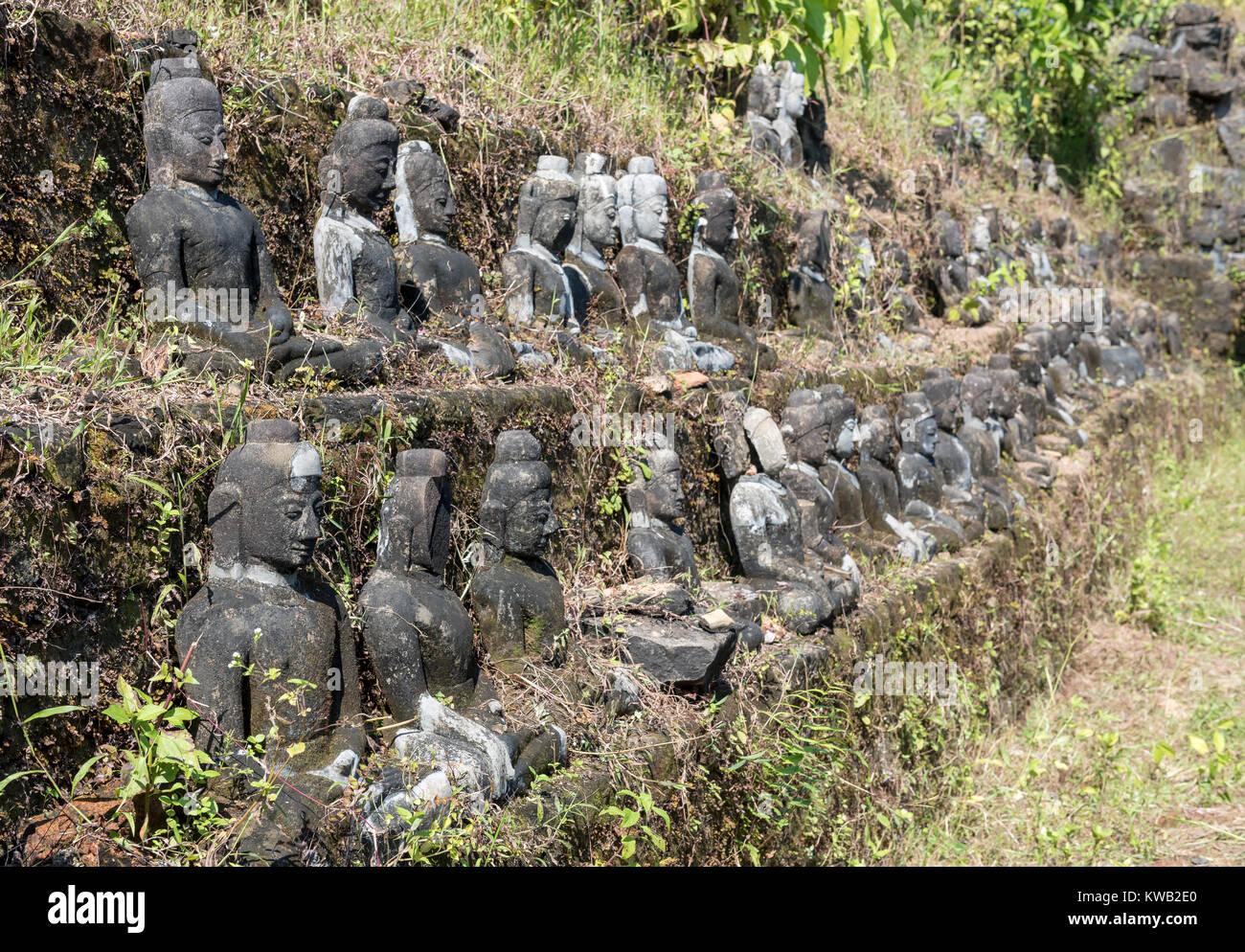 Overgrown buddha statue hi-res stock photography and images - Alamy