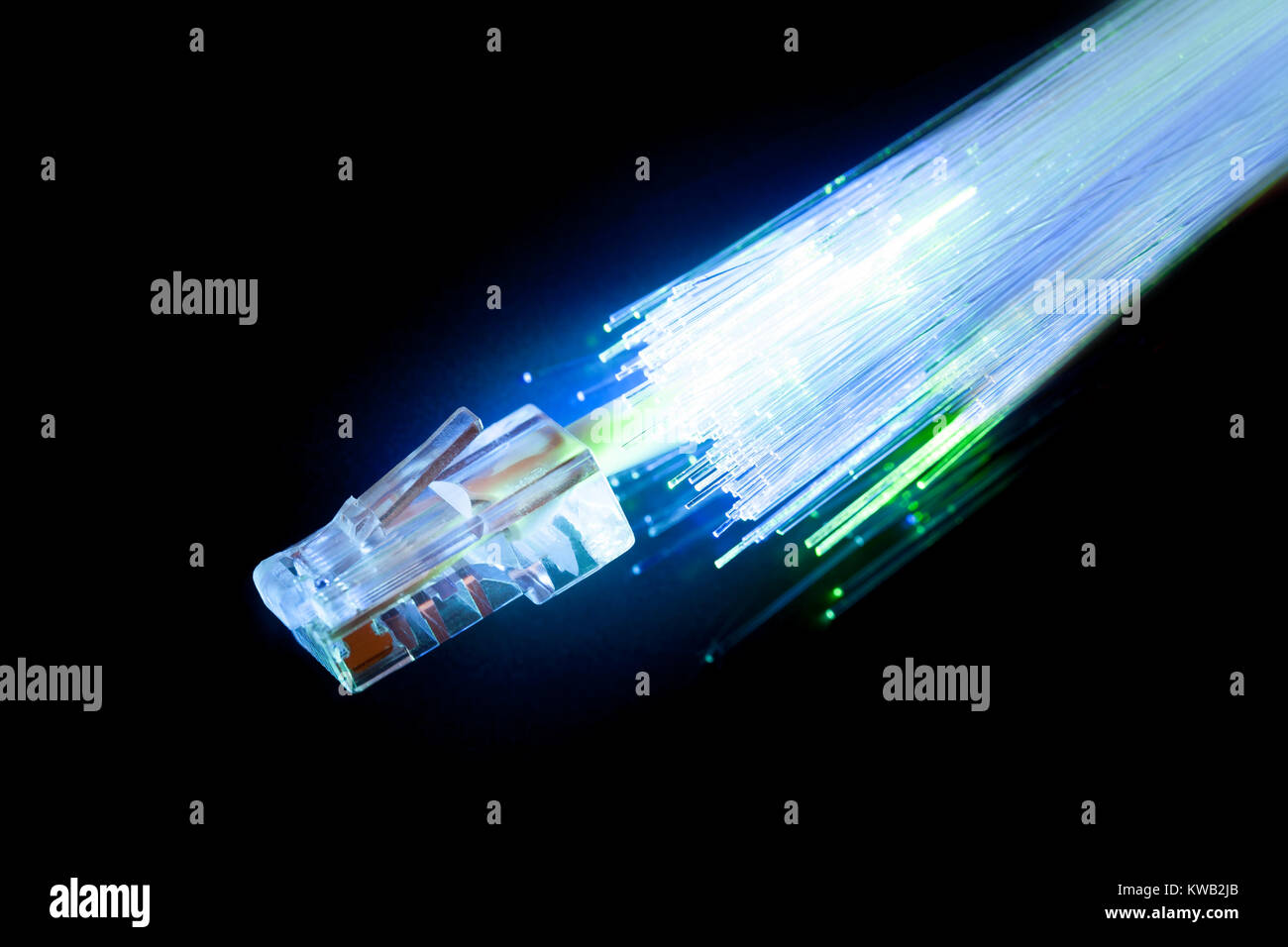 Studio shot of a LAN and optical fiber cables on black background Stock ...