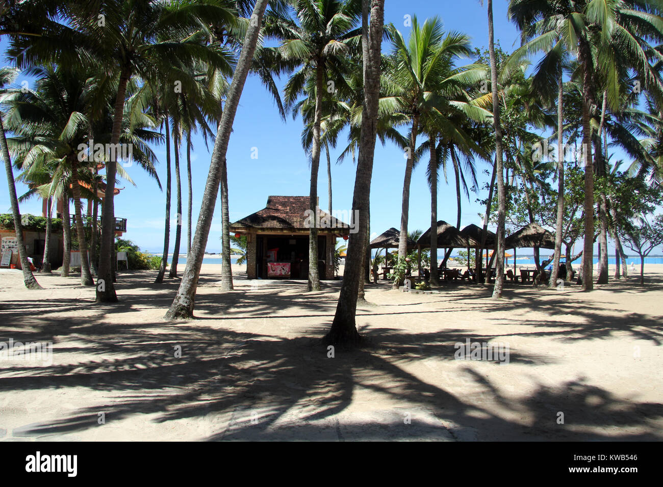 Palm trees on the sand beach in Hainan island, China Stock Photo - Alamy