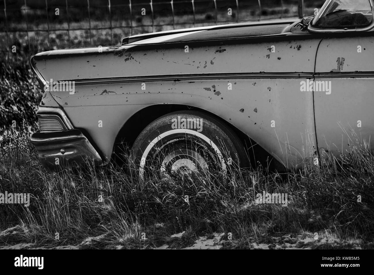 Vintage Abandoned Classic Car in the Grass Somewhere in the Colorado ...